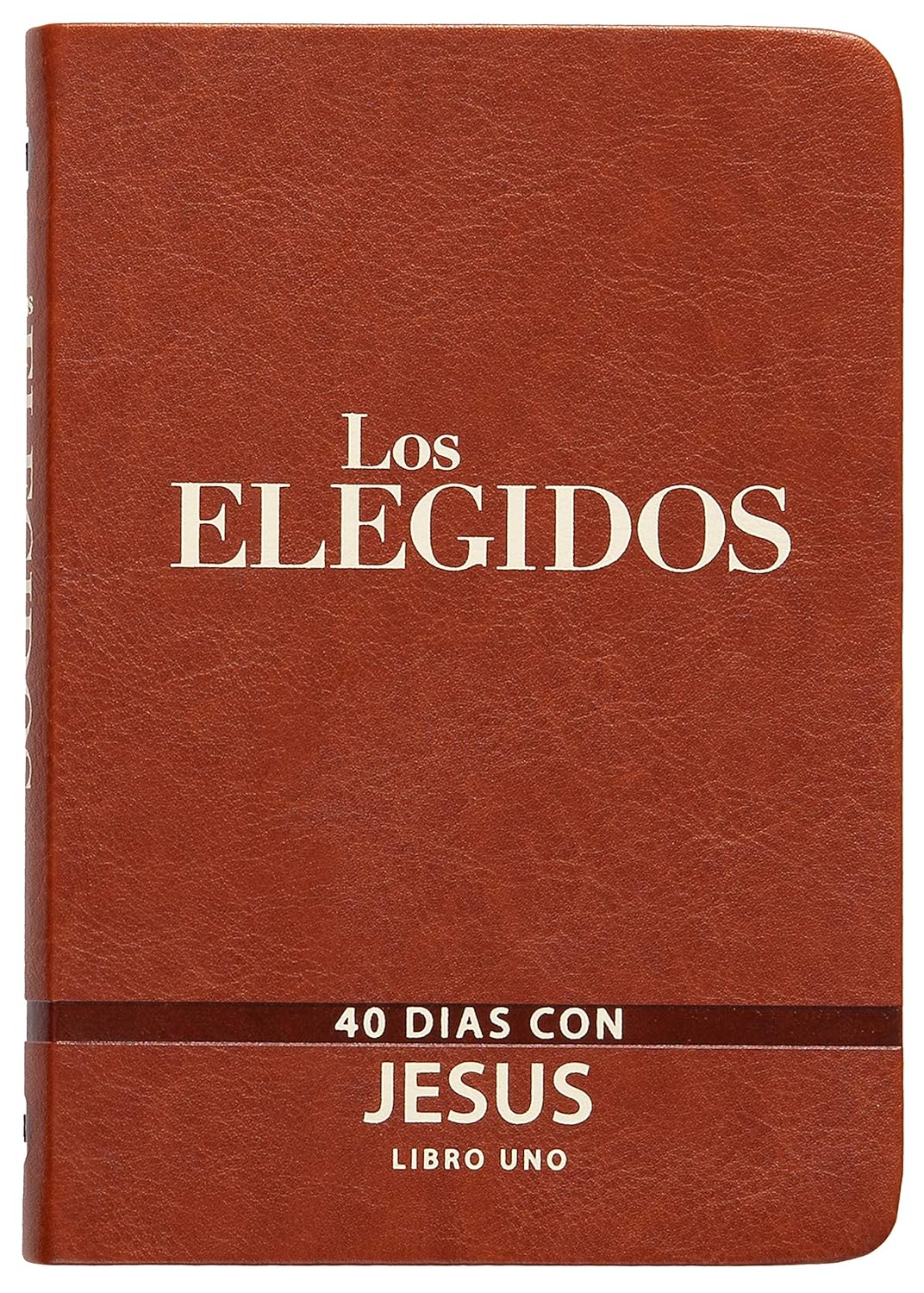 Los elegidos: 40 días con Jesús – Libro uno/ Amanda Jenkins