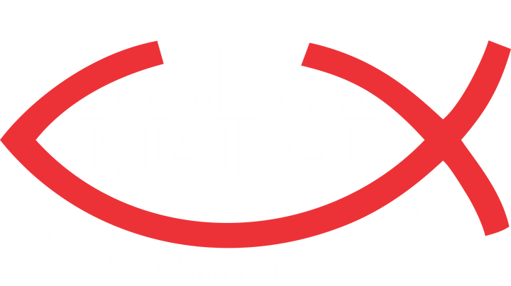 EBV 2025: Paquete de inicio ¡Exaltado! / Lifeway